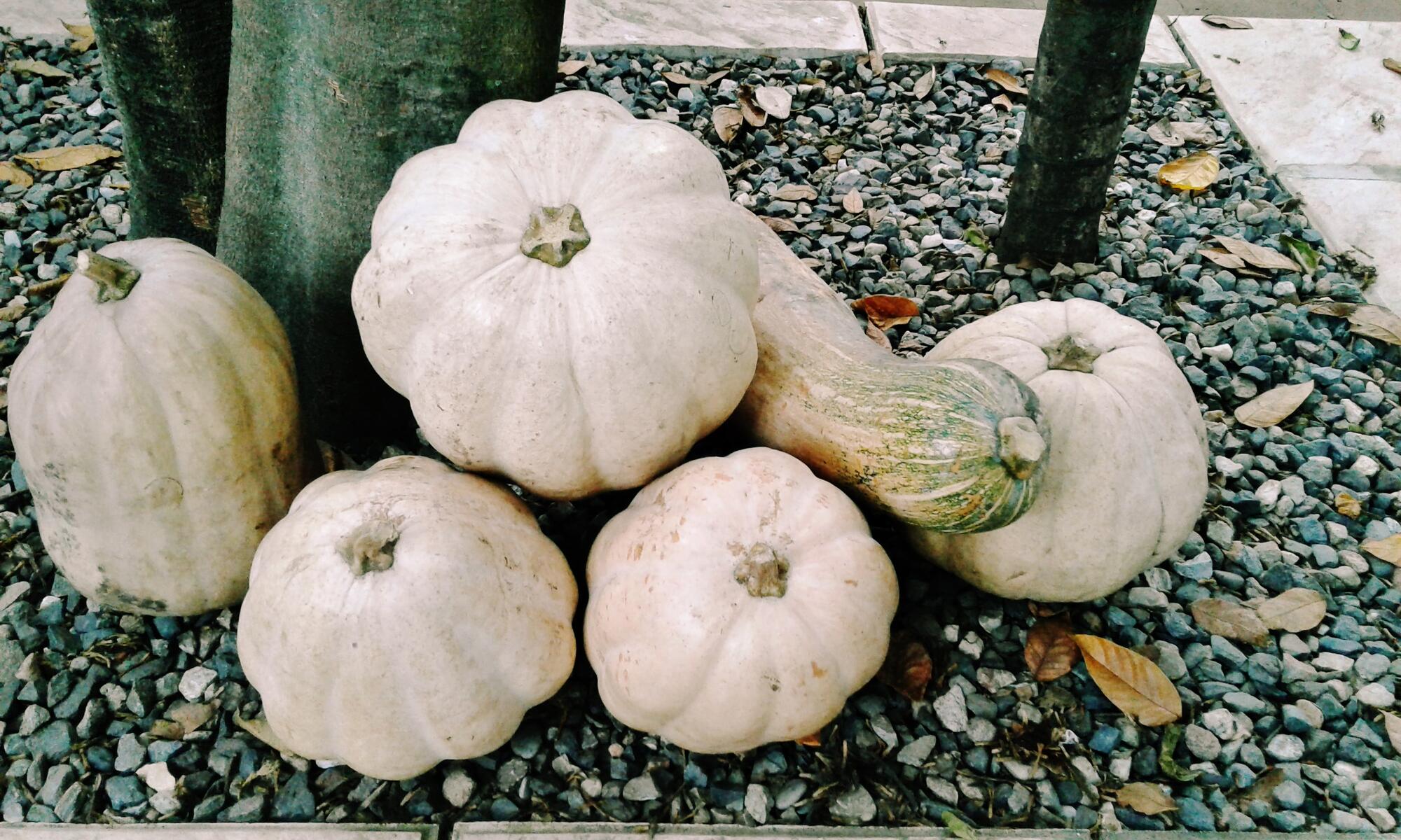 Typical dishes and fruits of the area | AECM Achi